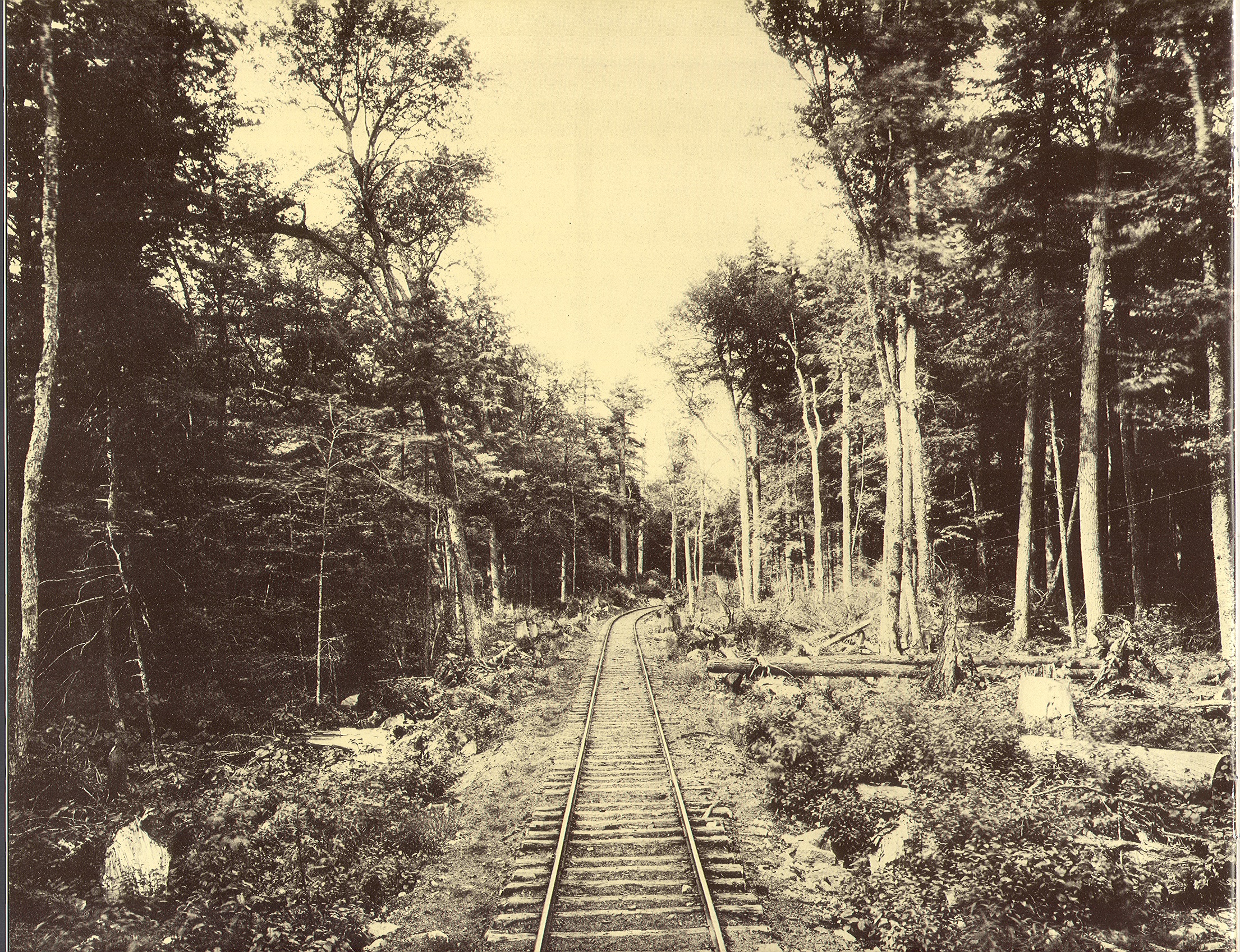 Building the Lehigh Valley Railroad