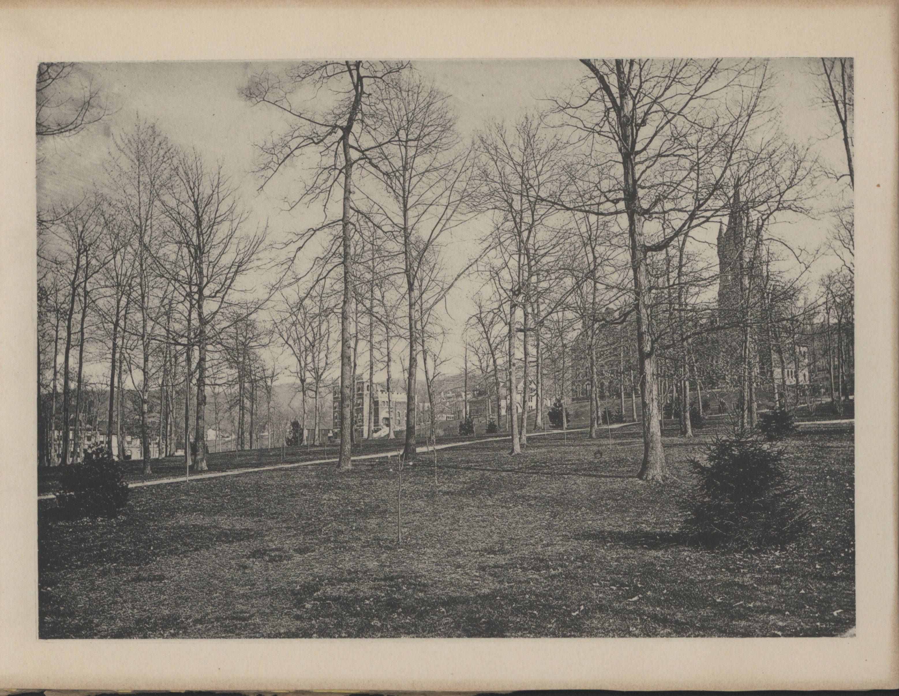 Asa Packer the Educator